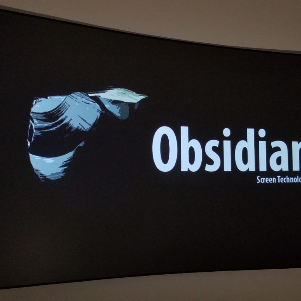 Entertain at home the right way with your new Obsidian Screen